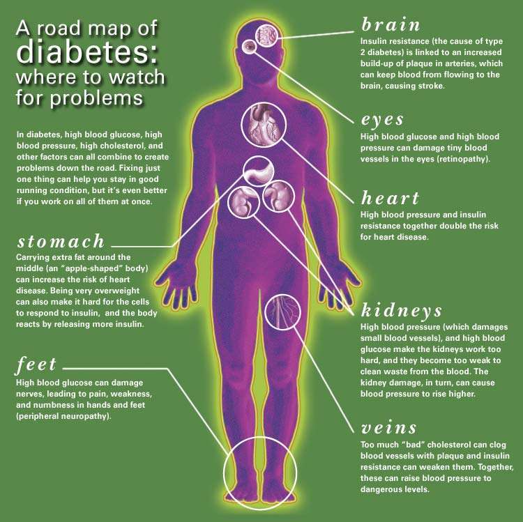 Cholesterol And The Complications Of Living With Type 2 Diabetes Be Cholesterol And The Complications Of Living With Type 2 Diabetes Be